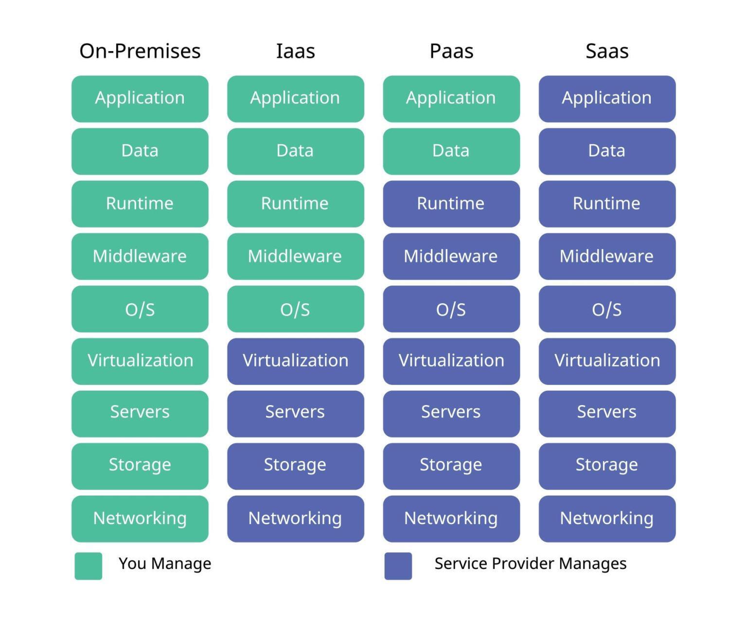 Software as a Service (SaaS) - Netrust