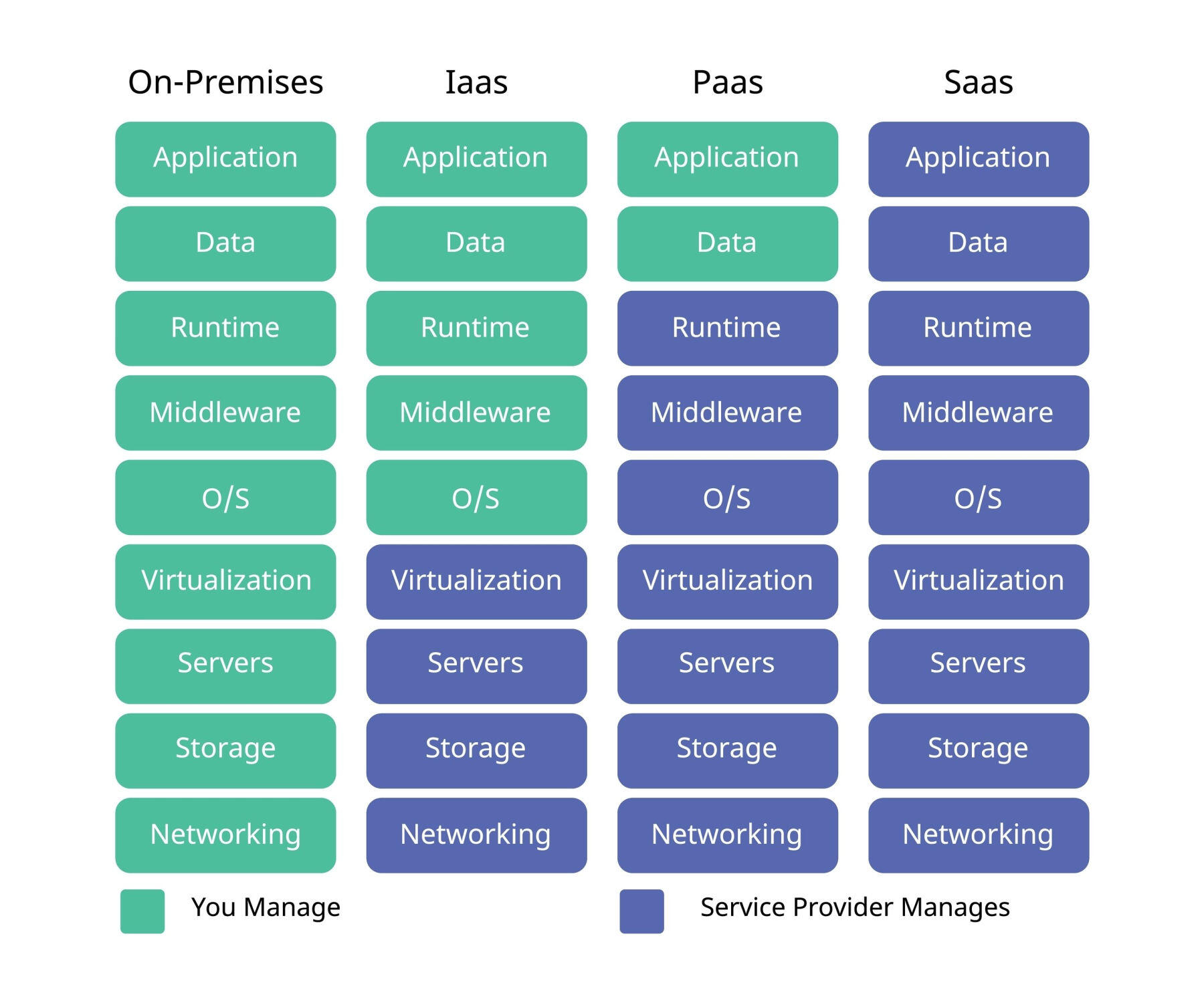 Software as a Service (SaaS) - Netrust Software as a Service (SaaS) - Netrust