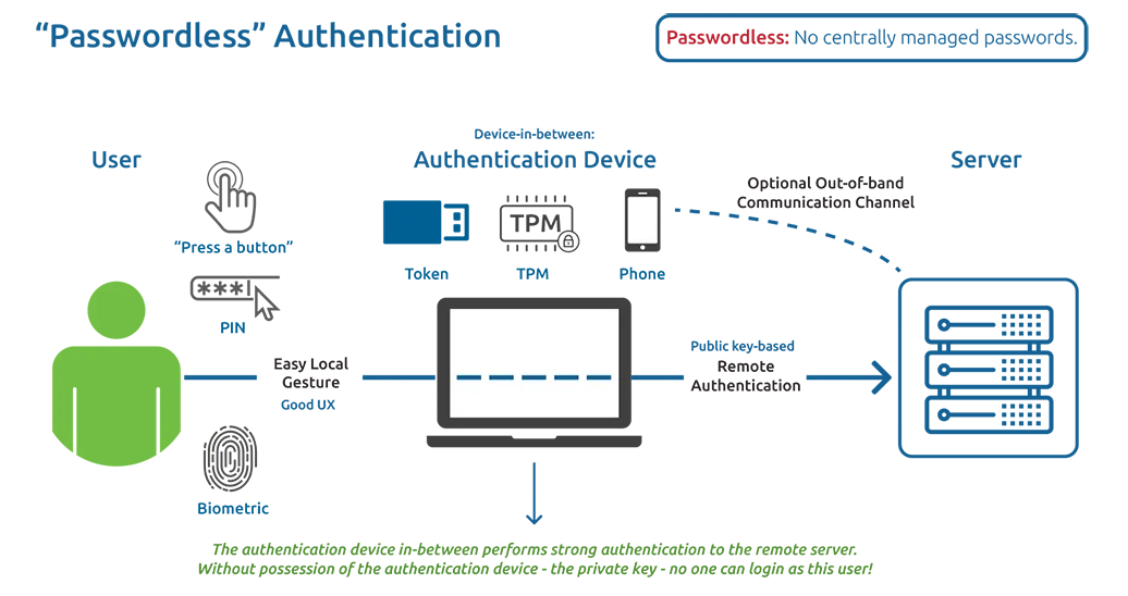 What is Passwordless - Netrust