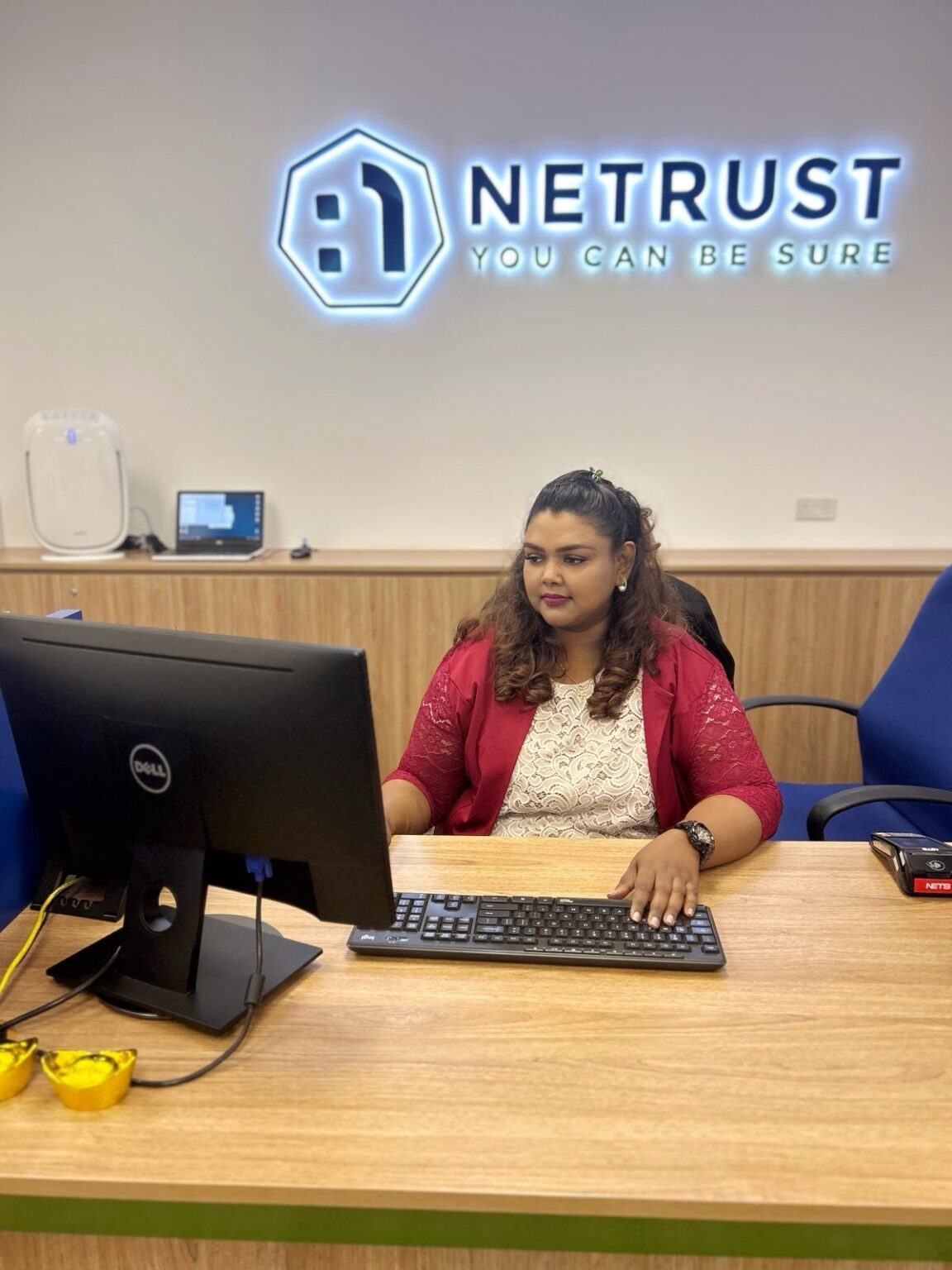 What is a hosted service? - Netrust